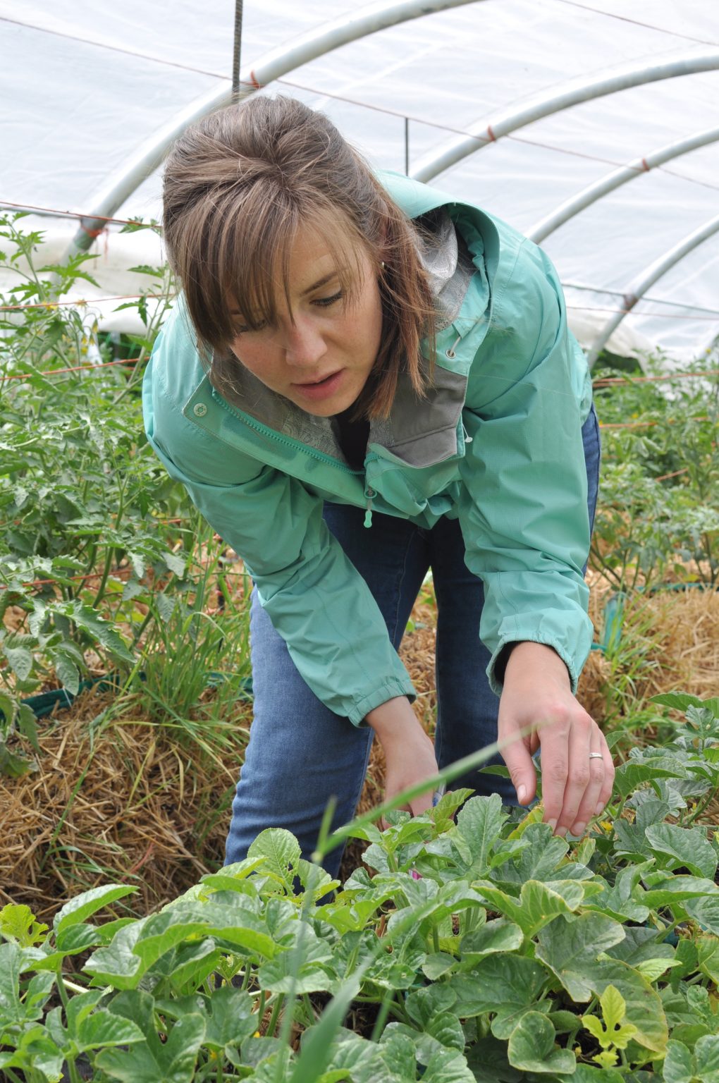 WESK | Support for Women Entrepreneurs in Saskatchewan